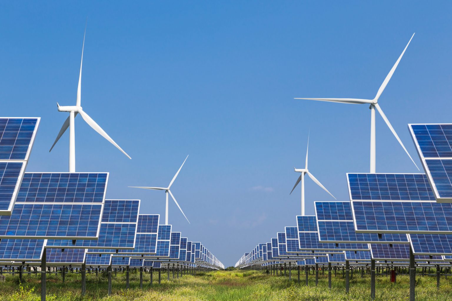 What does renewable really mean? - Improveasy Ltd